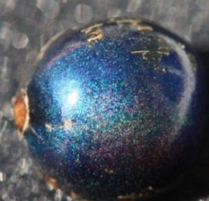 Pollia condensata - Marble Berry, Metallic Blue Pearl Plant, Marble ...