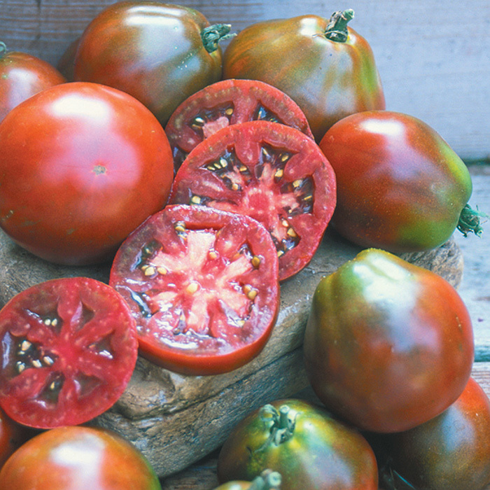Solanum lycopersicum 'Japanese Trifele Black' - Japanese Trifele Black ...
