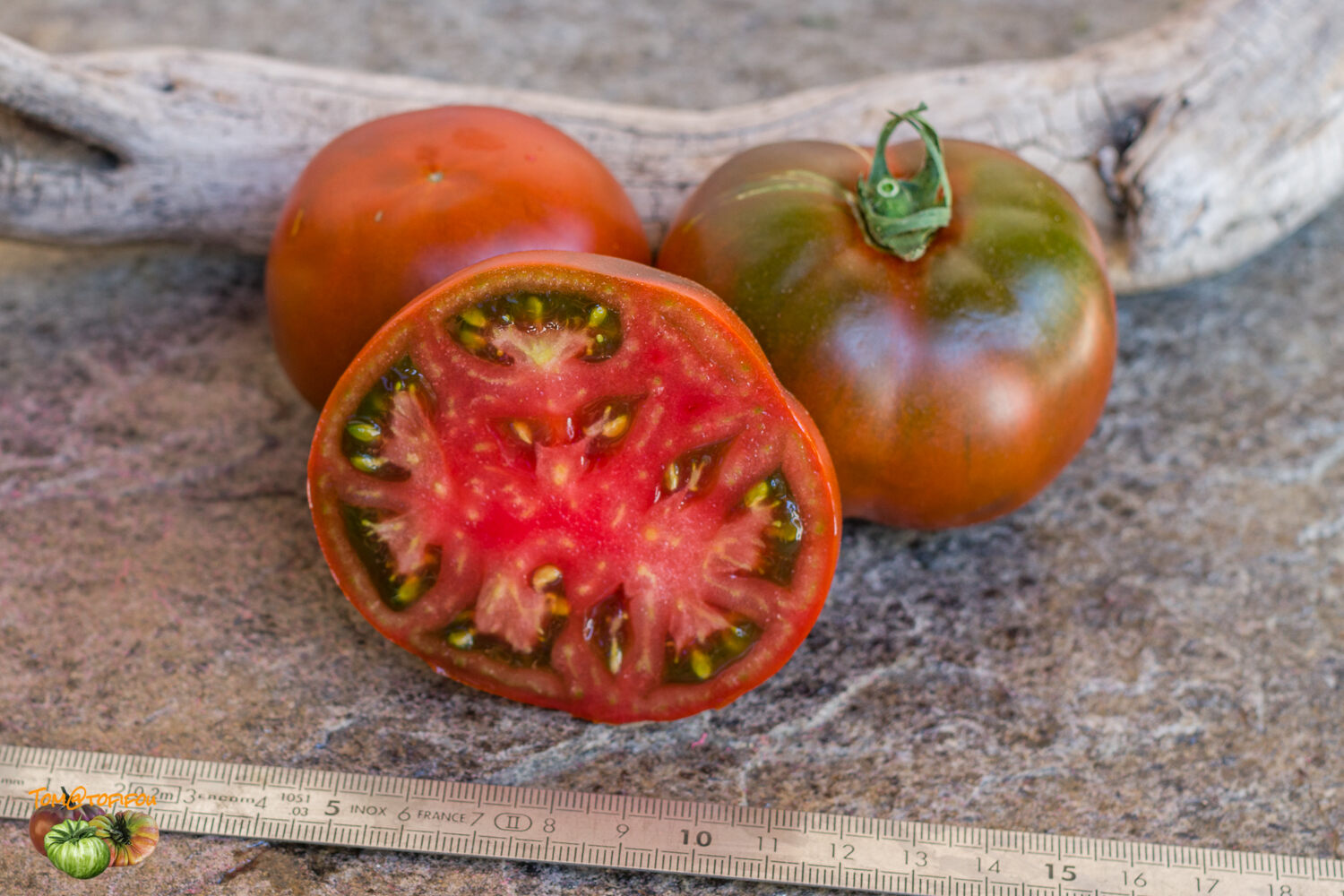 Solanum lycopersicum 'Nyagous' - Nyagous Tomato, Nyagous Heirloom ...