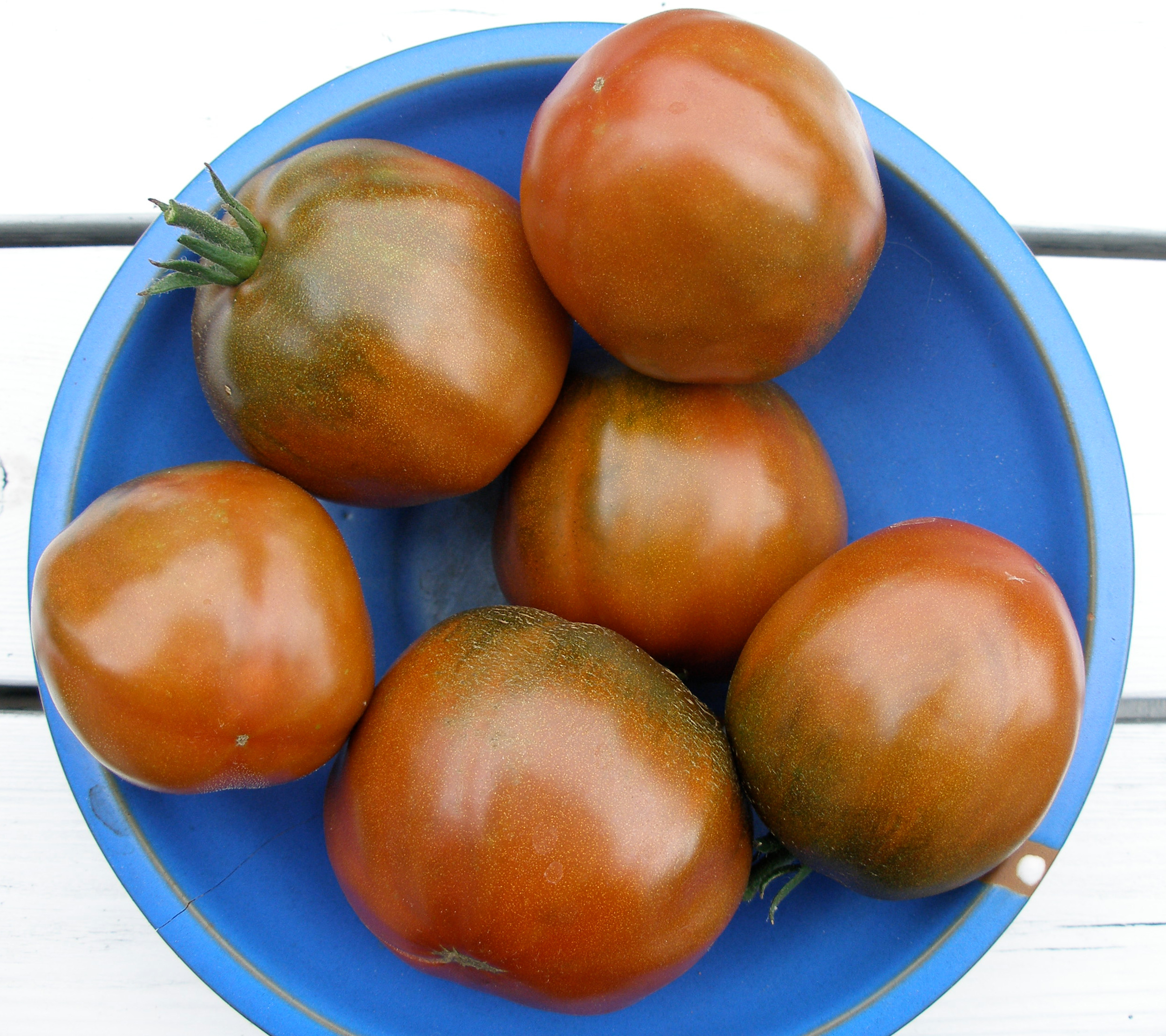 Solanum lycopersicum 'Nyagous' - Nyagous Tomato, Nyagous Heirloom ...