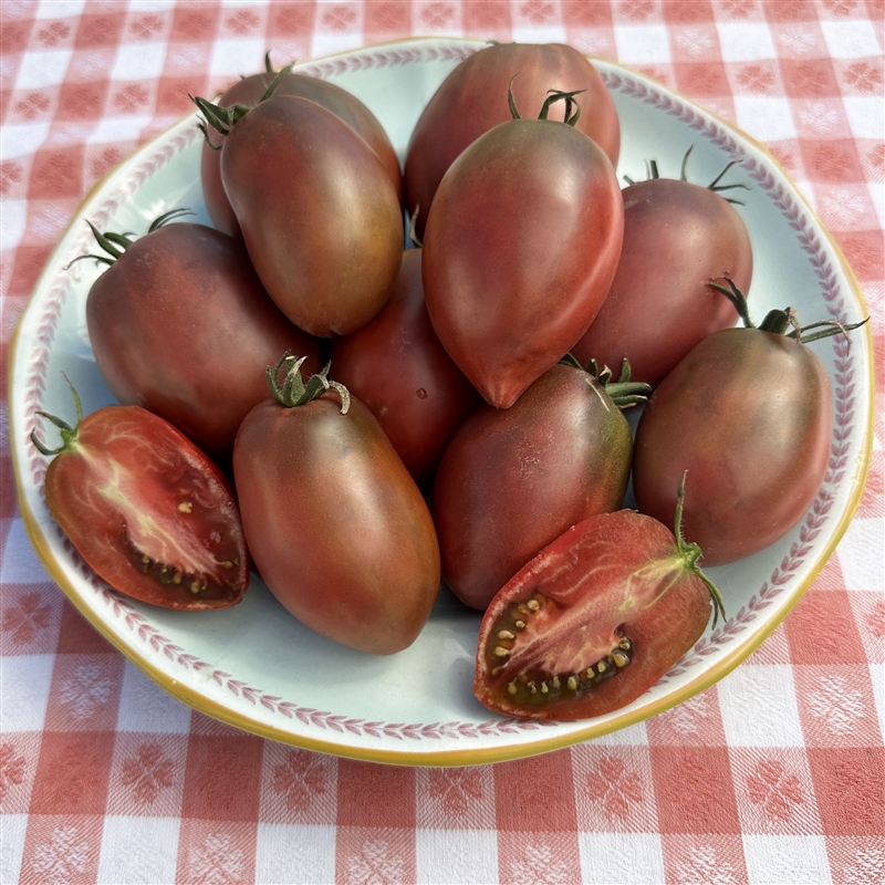Solanum lycopersicum 'Ukrainian Purple' - Ukrainian Purple Tomato ...