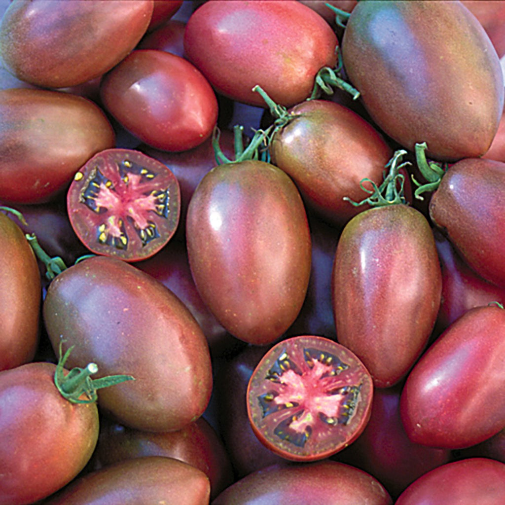 Solanum lycopersicum 'Ukrainian Purple' - Ukrainian Purple Tomato ...
