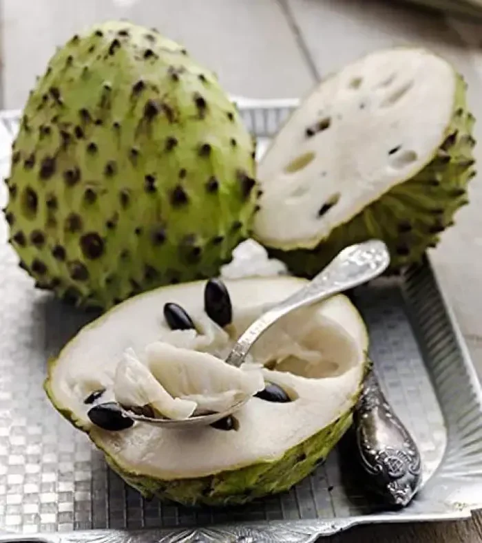 Annona muricata - Soursop, Graviola, Guyabano, Guanabana, Prickly ...